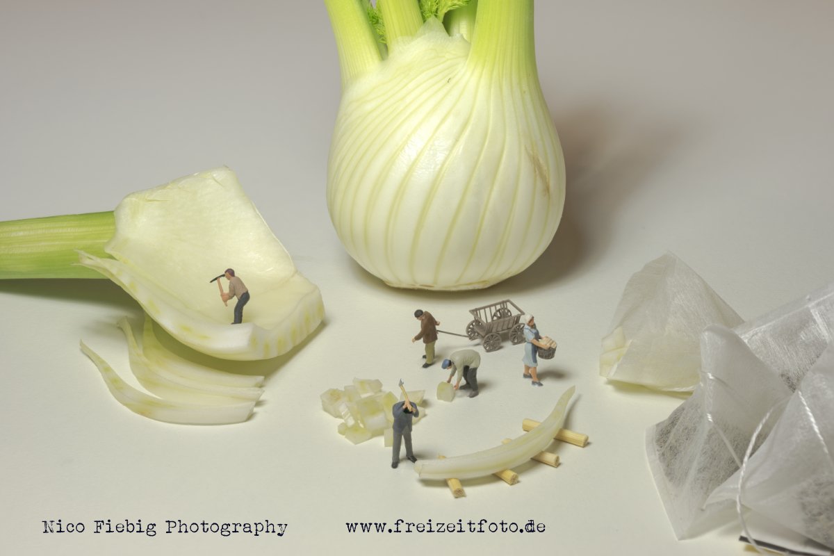 Herstellung von Fencheltee › Freizeitfoto